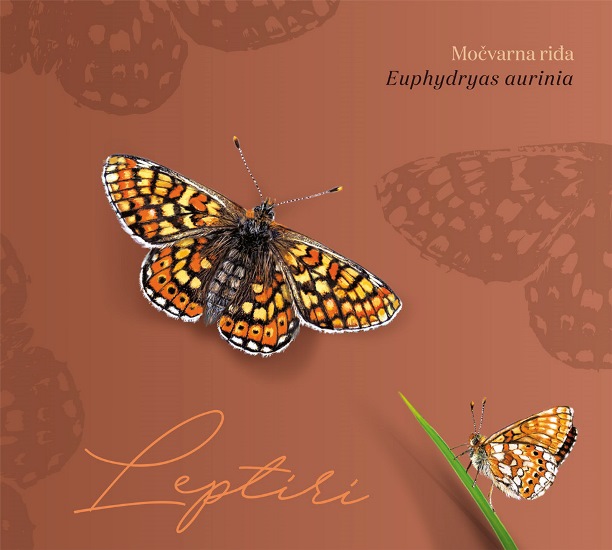 Hrvatska pošta - Webshop - HRVATSKA FAUNA – LEPTIRI, močvarna riđa