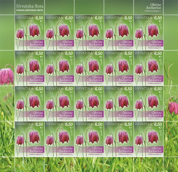 Hrvatska pošta - Webshop - Obična kockavica (Fritillaria meleagris L.)