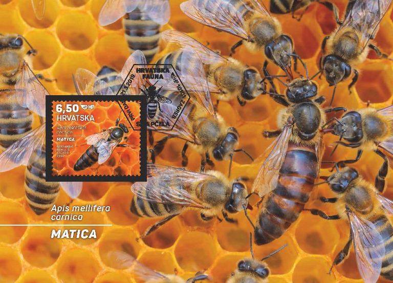 Hrvatska pošta - Webshop - HRVATSKA FAUNA – SIVA PČELA, matica
