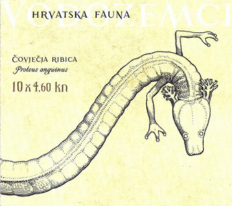 Hrvatska pošta - Webshop - HRVATSKA FAUNA - VODOZEMCI - ČOVJEČJA RIBICA