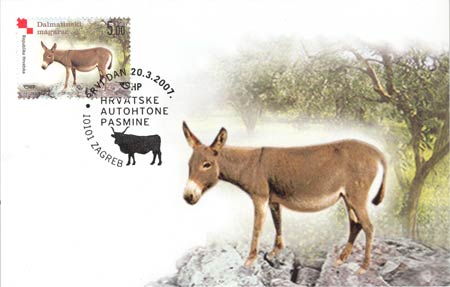 Hrvatska pošta - Webshop - CROATIAN AUTOCHTHONOUS BREEDS - DALMATIAN DONKEY